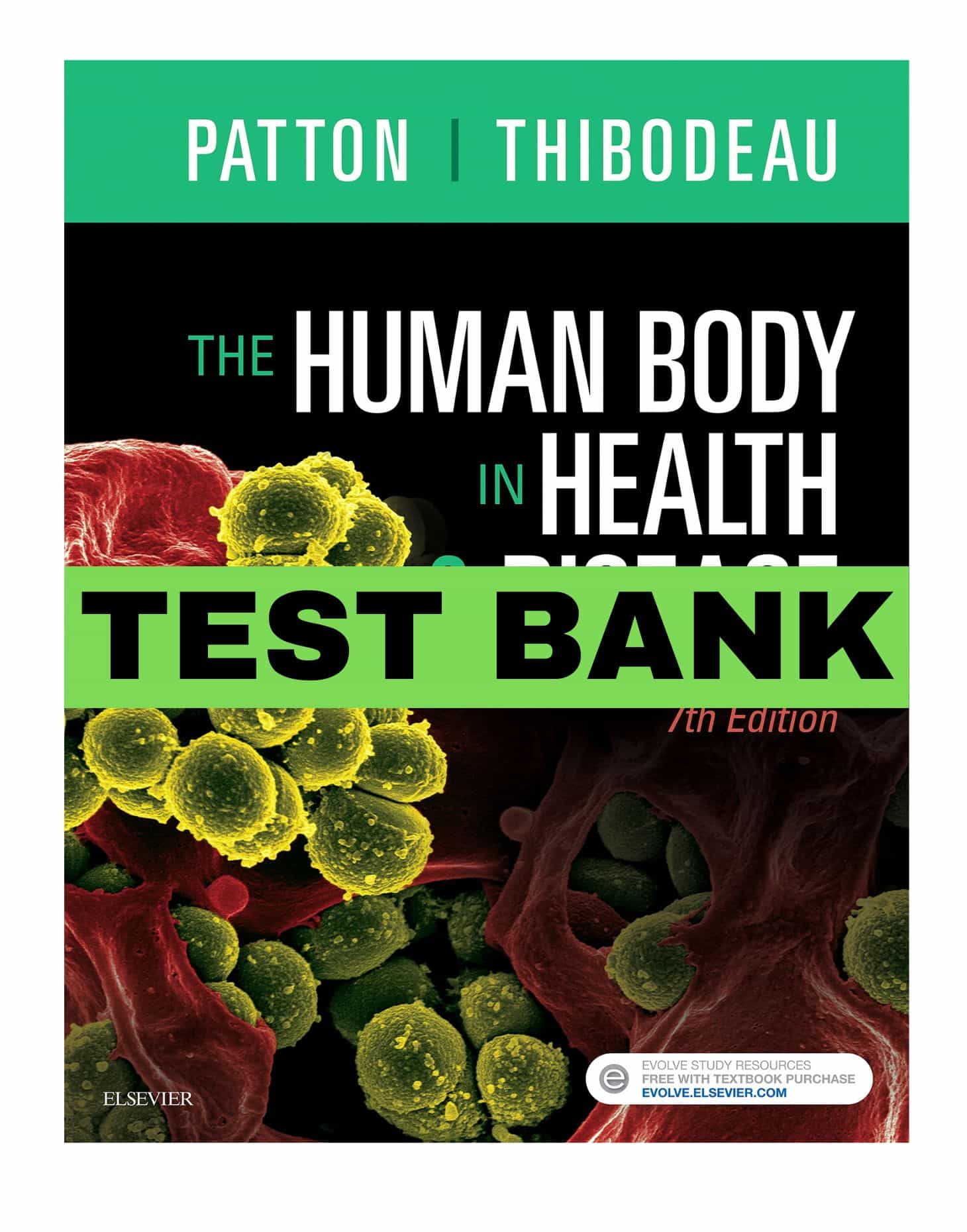 The Human Body In Health And Disease 7th Edition By Patton Test Bank ...